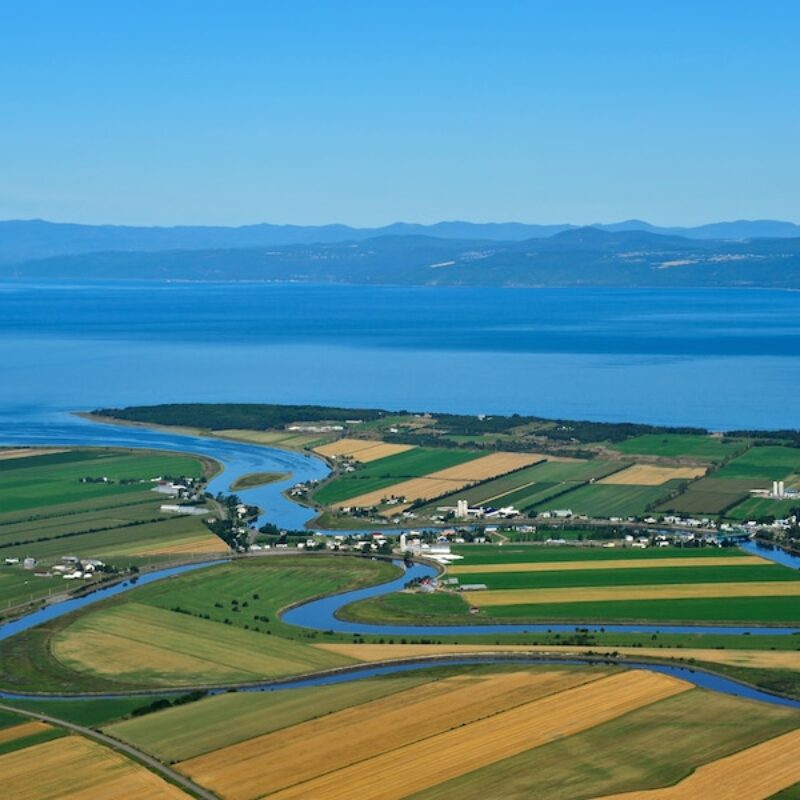 Accueil — Parcours Fil Rouge